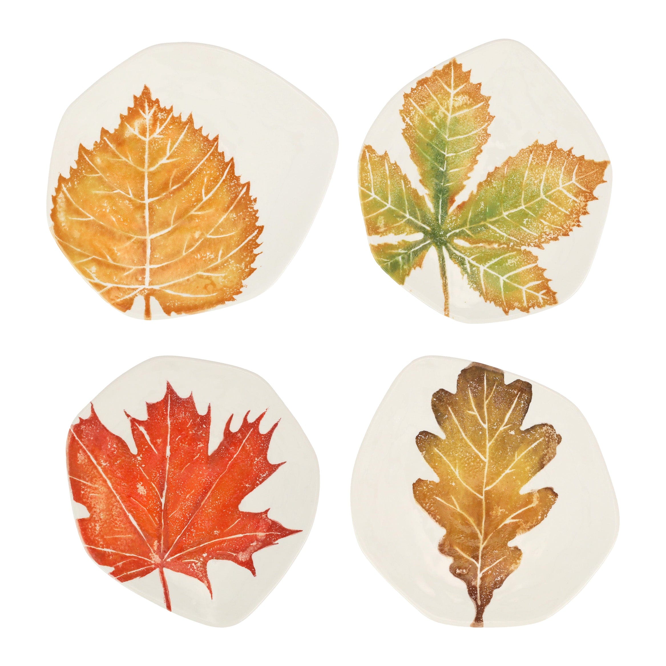 Autunno Assorted Salad Plates - Set of 4 – VIETRI