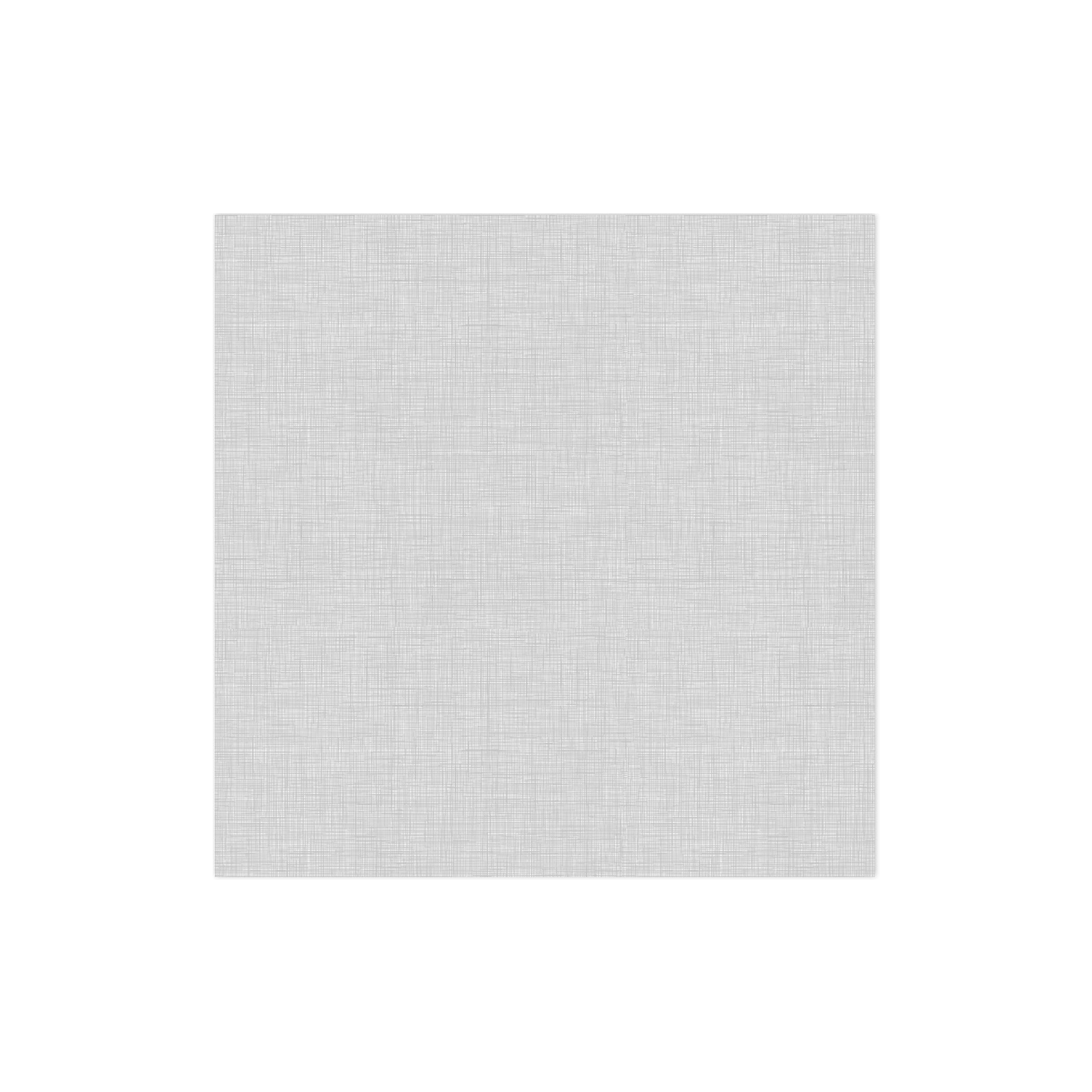 Papersoft Napkins Easy Light Gray Dinner Napkins (Pack of 20) – VIETRI
