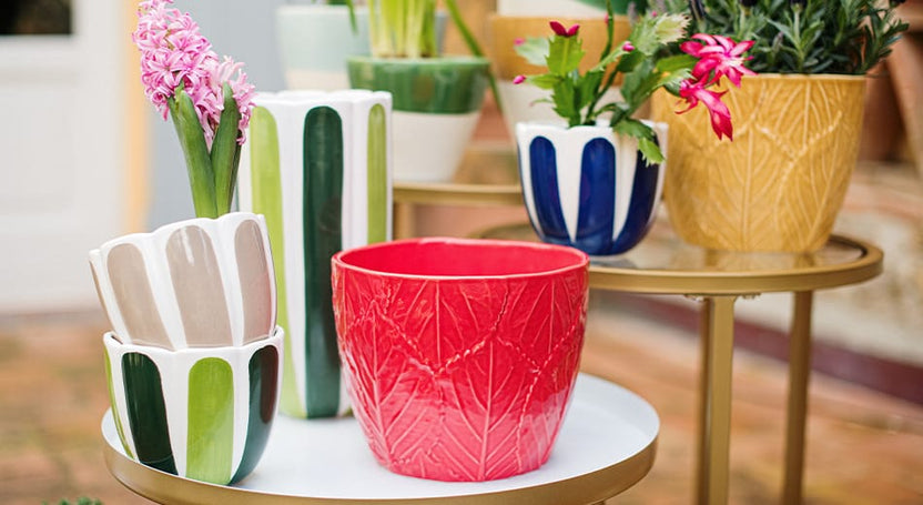 VIETRI Fall Pieces Warehouse Sale | Up to 76% Off Autumn Dinnerware