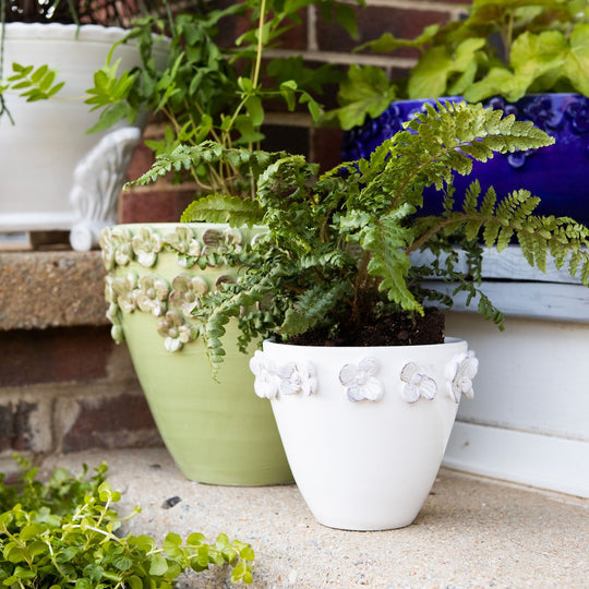 Rustic Garden Small Cachepot – VIETRI